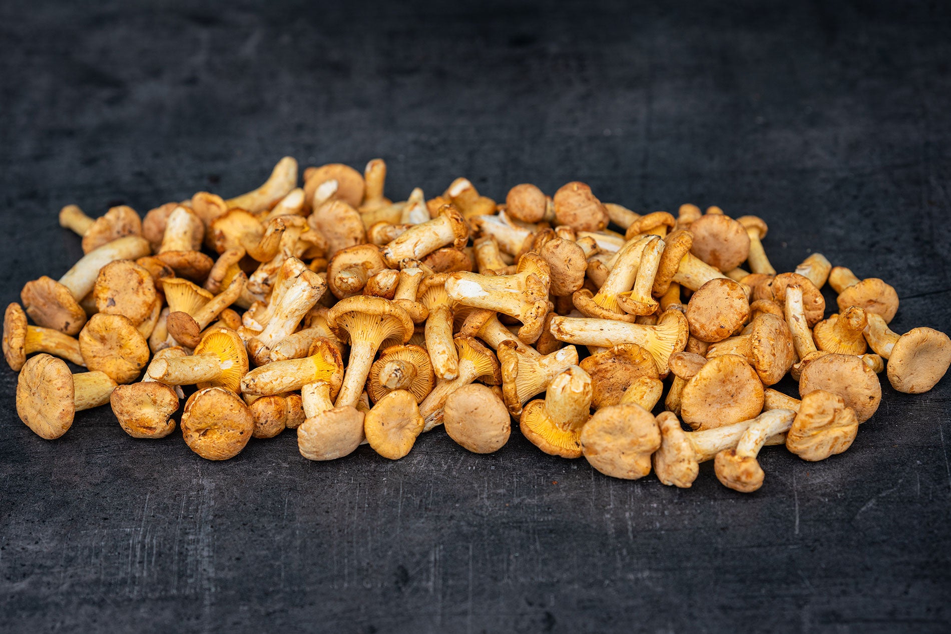 Was Kostet 1 Kg Frische Pfifferlinge